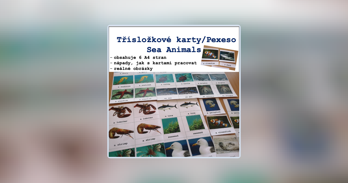 Třísložkové karty/Pexeso Sea Animals | Učitelnice