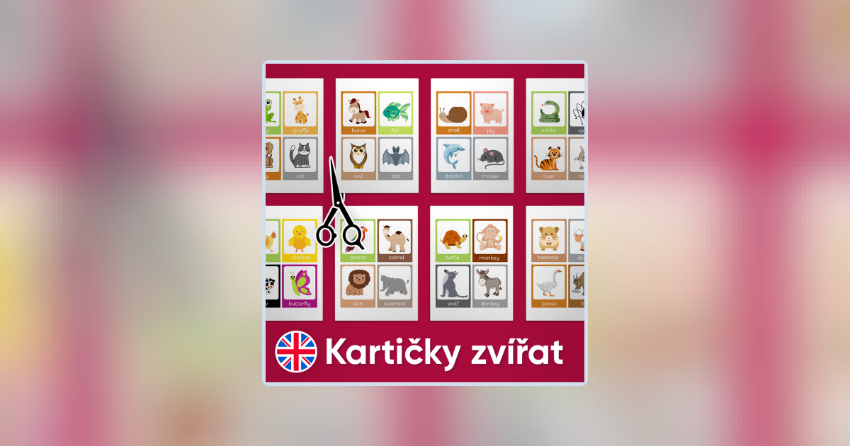 Kartičky zvířat v angličtině | Učitelnice