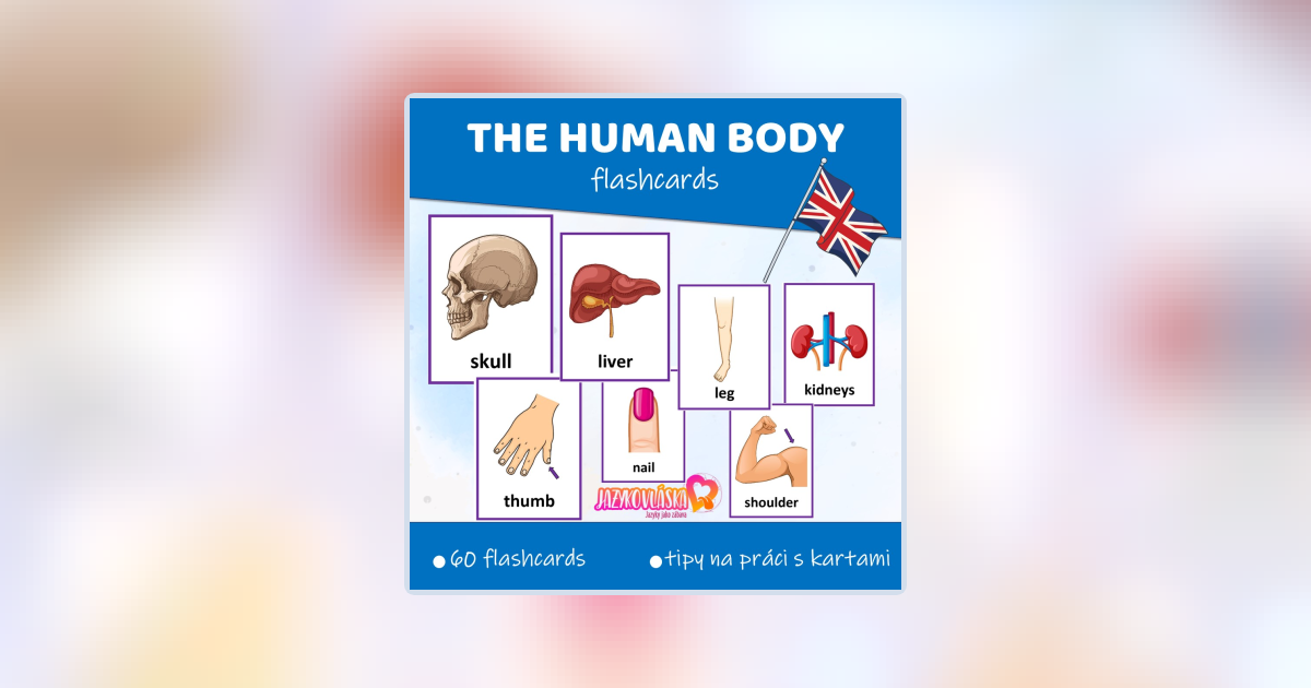 The human body flashcards | Učitelnice