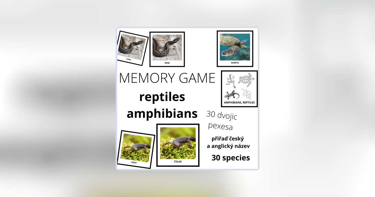 AMPHIBIANS, REPTILES - memory game (30 species) | Učitelnice