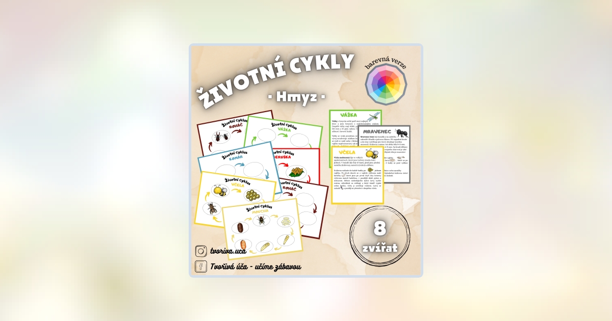 Životní cyklus - HMYZ | Učitelnice