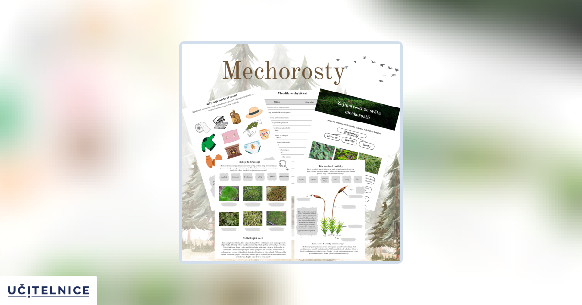Mechorosty | Učitelnice