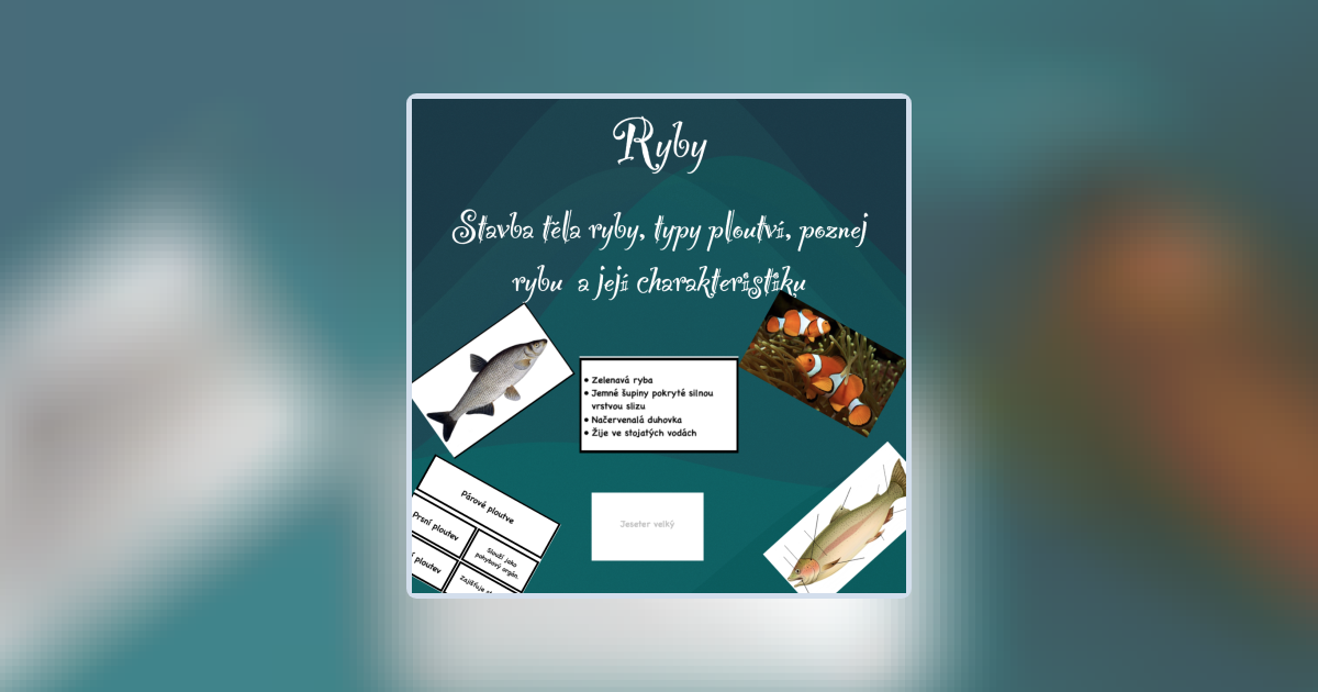 Ryby | Učitelnice