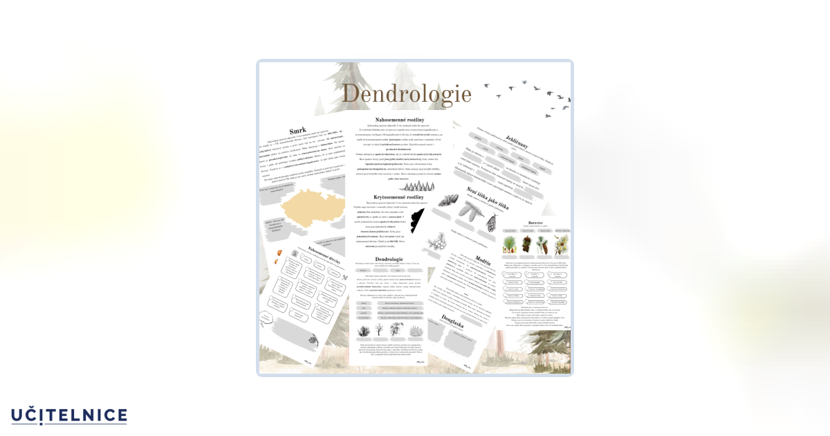 Dendrologie - nahosemenné a krytosemenné rostliny | Učitelnice