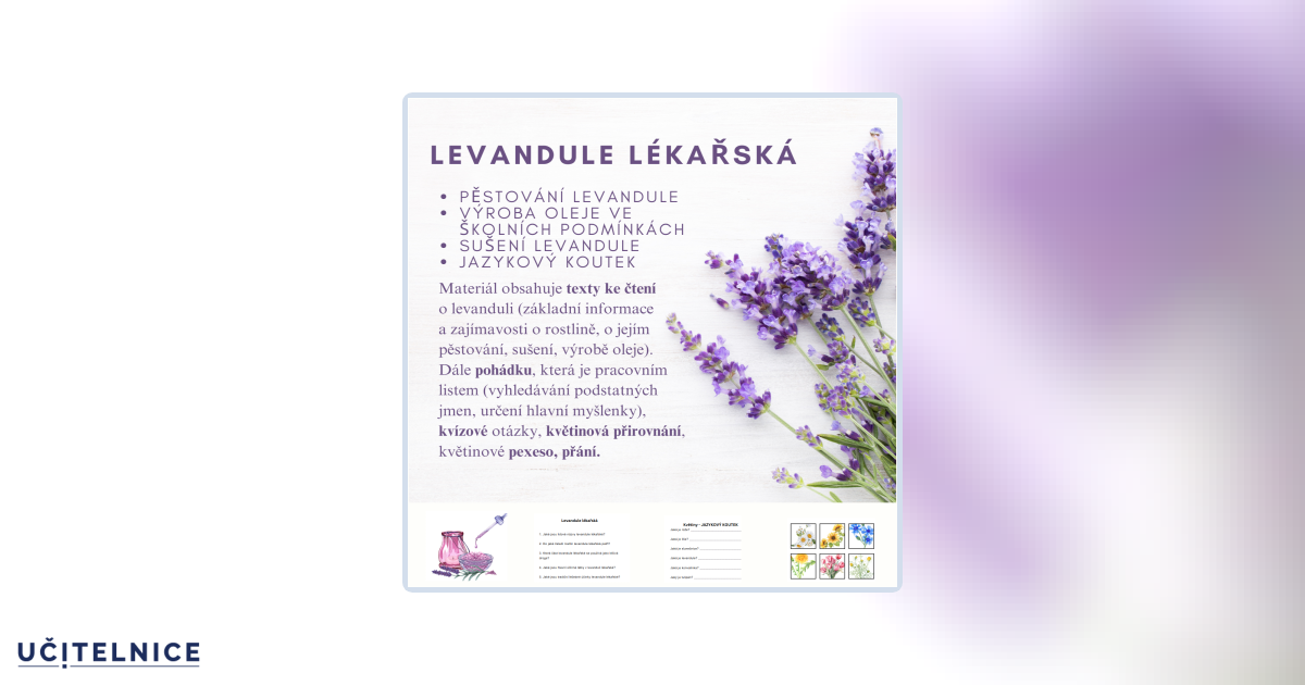 Levandule lékařská | Učitelnice