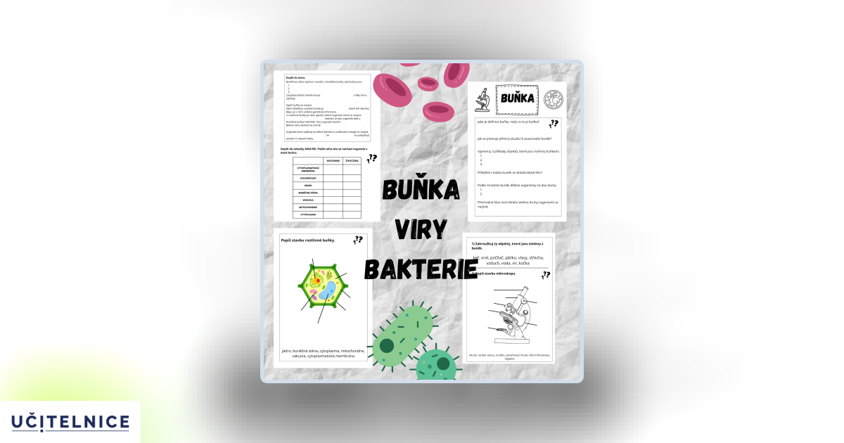 BUŇKA, VIRY, BAKTERIE/pracovní list | Učitelnice