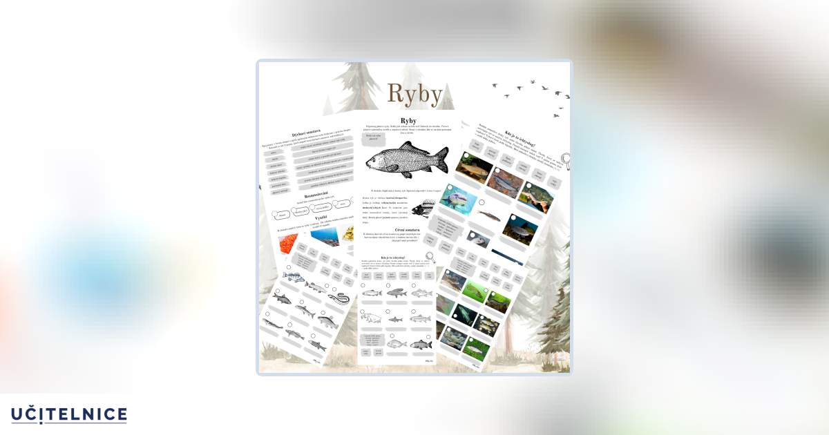 Ryby | Učitelnice