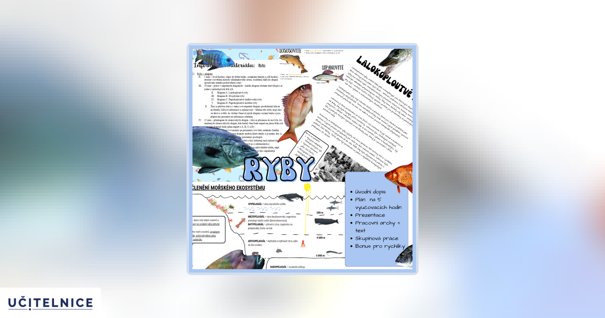 Ryby | Učitelnice