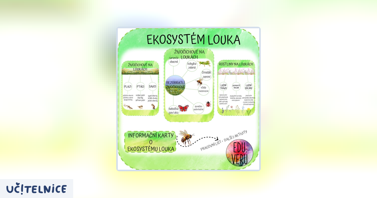 Ekosystém louka | Učitelnice