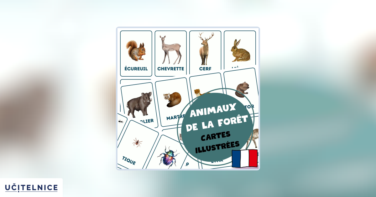 ANIMAUX DE LA FORÊT - cartes illustrées en français | francouzské ...