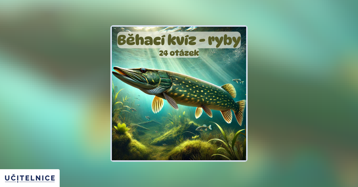 Běhací kvíz - RYBY | Učitelnice