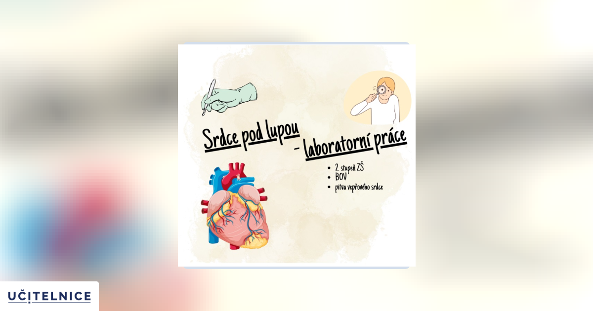 Srdce pod lupou - laboratorní práce | Učitelnice