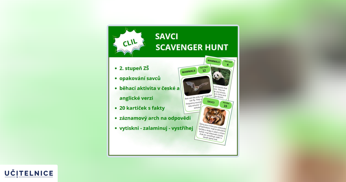 Savci - Scavenger hunt | Učitelnice