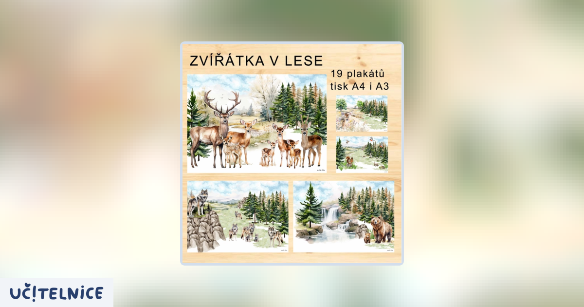 ZVÍŘÁTKA V LESE - PLAKÁTY | Učitelnice