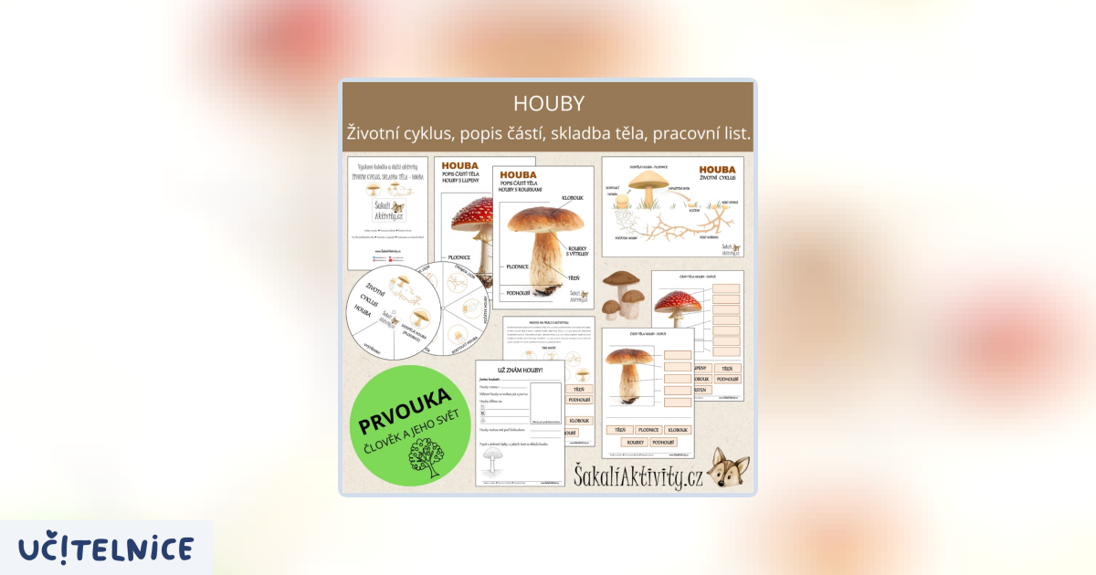HOUBY - výukové kolečko, životní cyklus, popis částí | Učitelnice