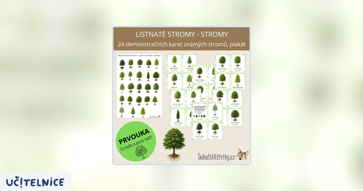 Listnaté stromy - stromy - demonstrační karty | Učitelnice