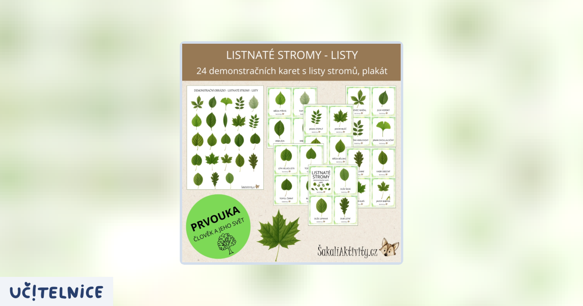Listnaté stromy - listy - demonstrační karty | Učitelnice