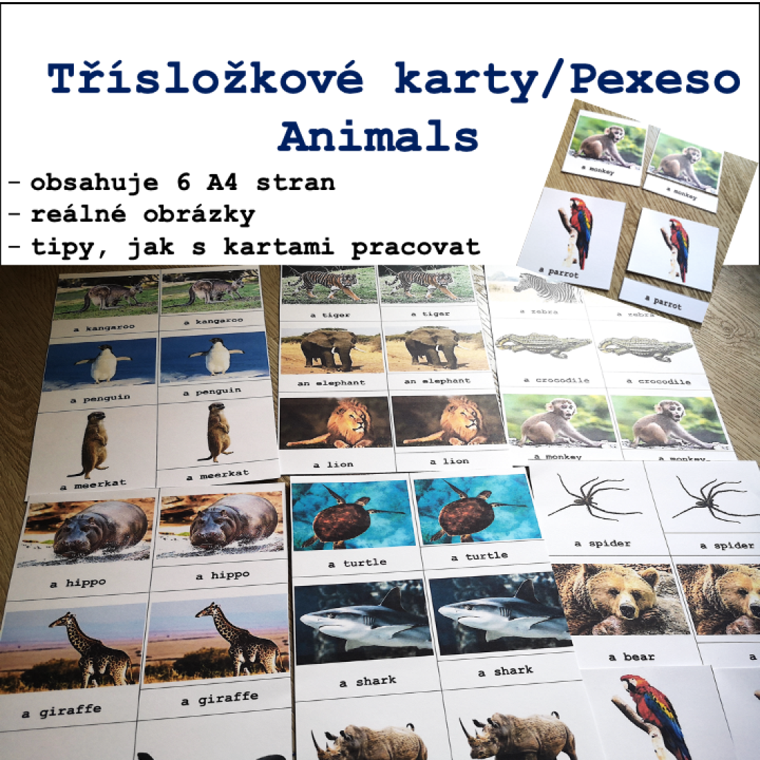 Třísložkové karty/Pexeso Animals | Učitelnice