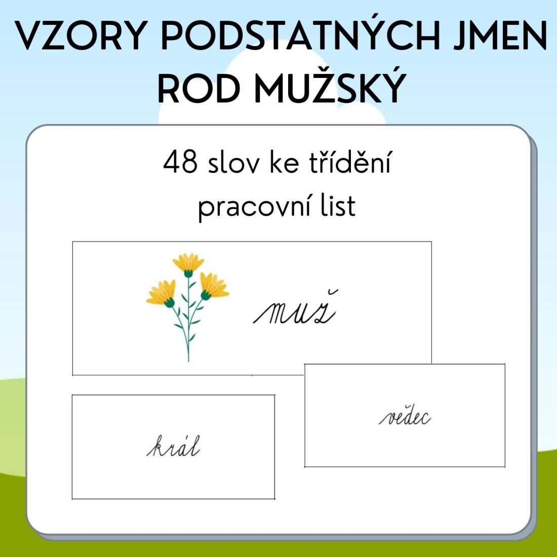 Vzory podstatných jmen - rod mužský | Učitelnice
