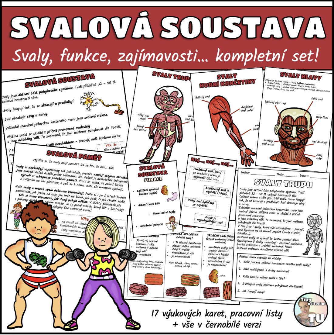 Svalová soustava (svaly) - kompletní set | Učitelnice