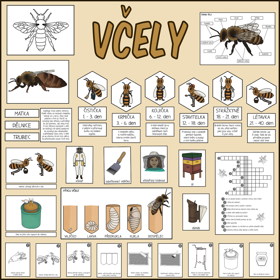Včely | Učitelnice