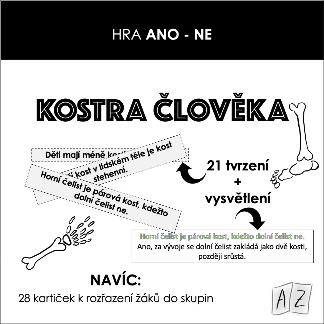 Hra ANO/NE - kostra | Učitelnice