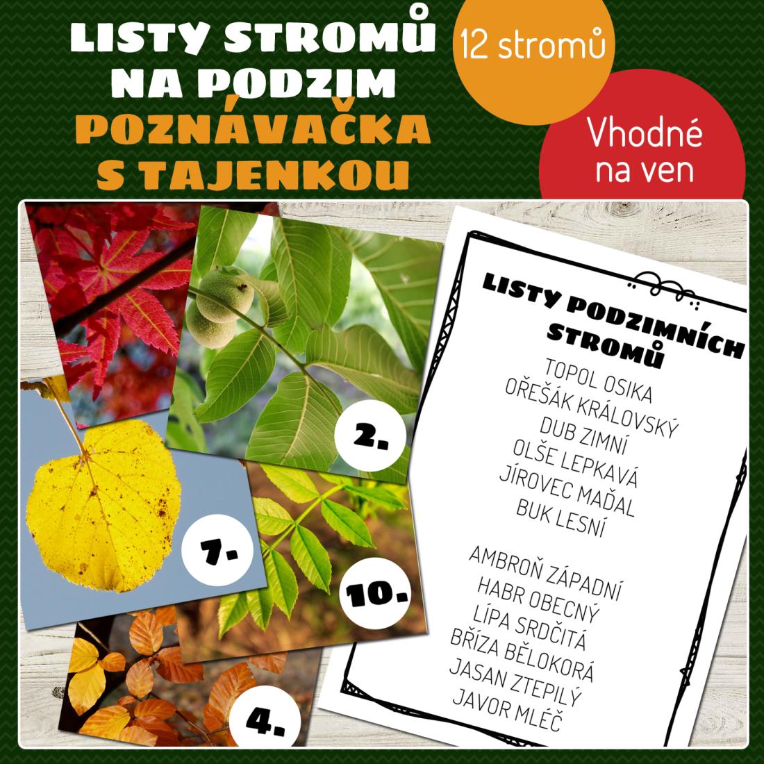 Listy stromů na podzim - poznávačka s tajenkou | Učitelnice