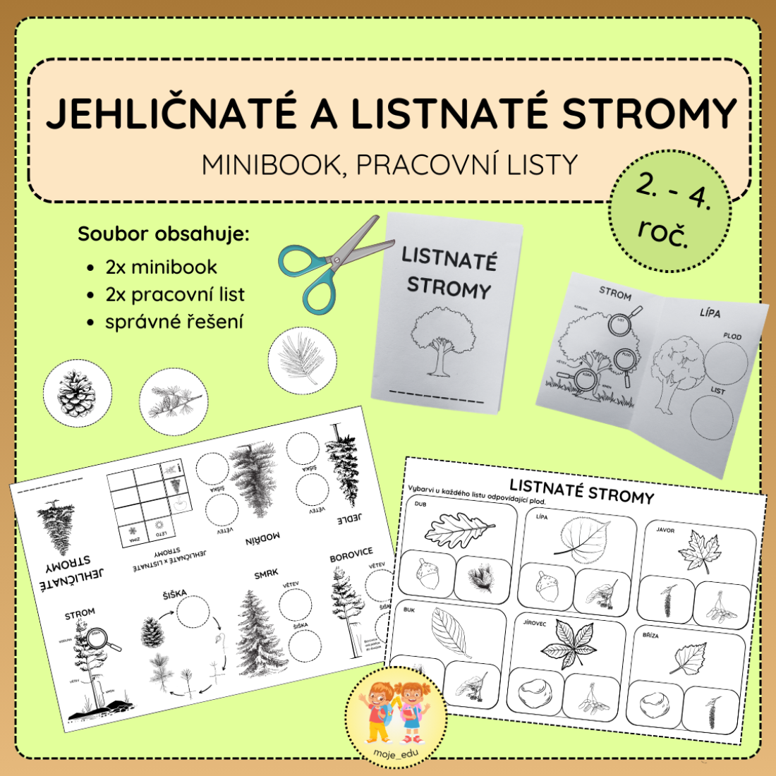 Jehličnaté a listnaté stromy - Minibook | Učitelnice