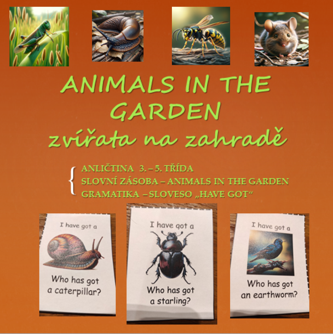 Animals in the garden - zvířata na zahradě | Učitelnice