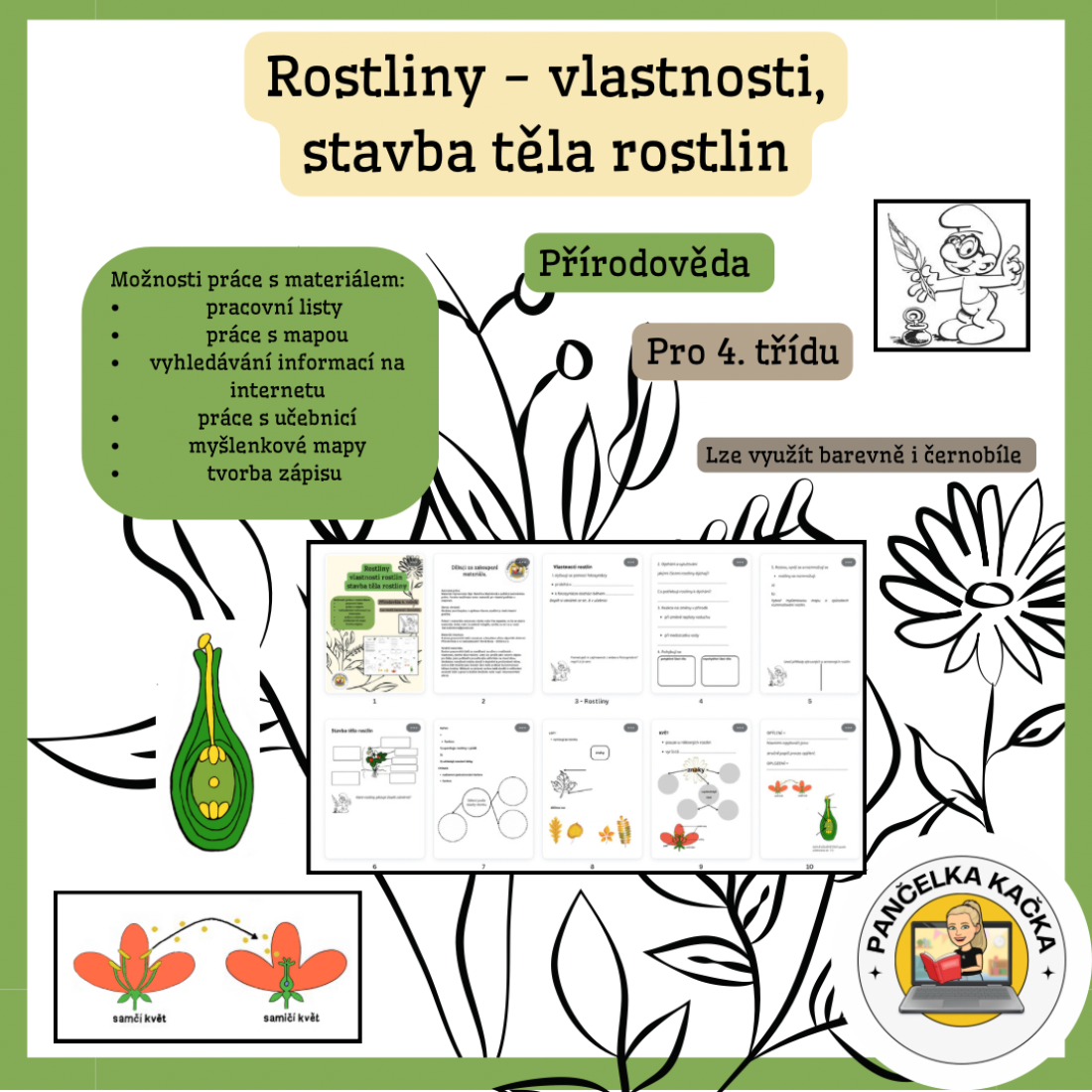 Materiál - Rostliny - vlastnosti rostlin, stavba těla