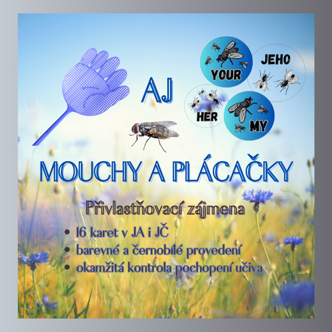 Materiál - MOUCHY A PLÁCAČKY - Přivlastňovací zájmena v AJ