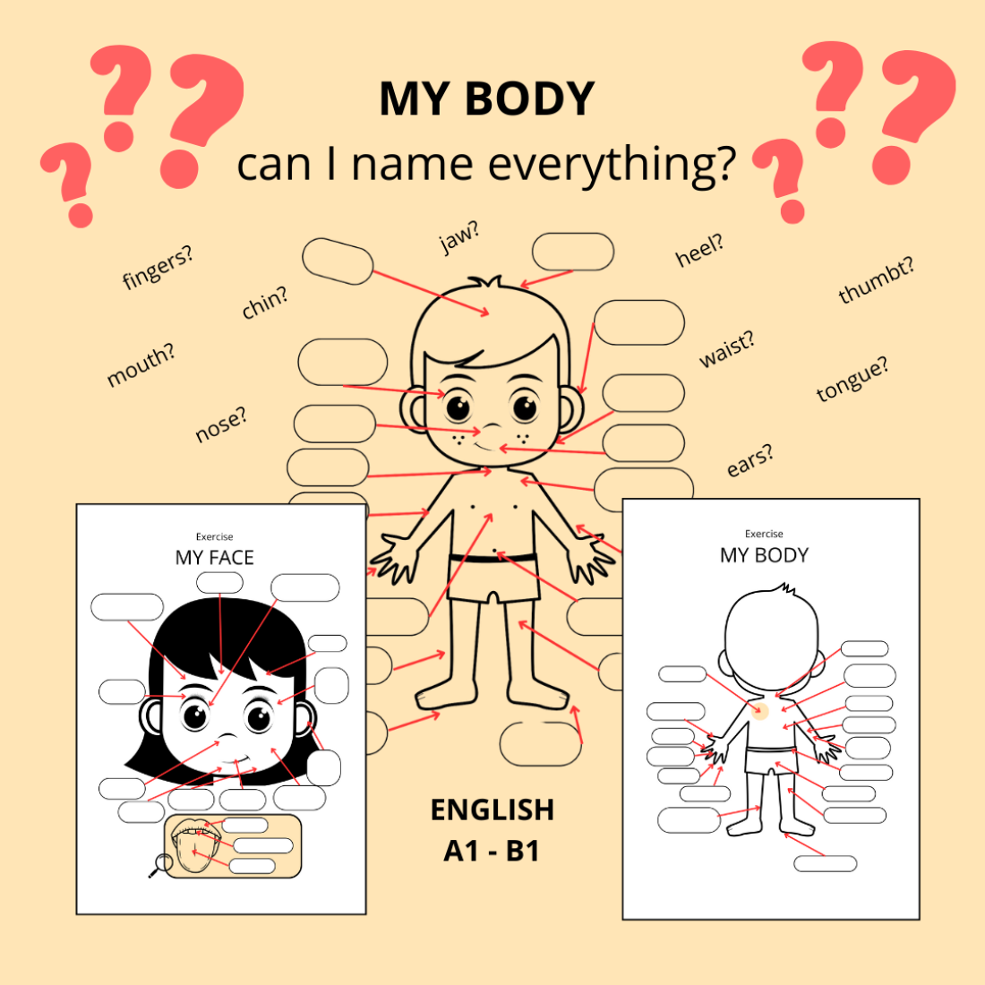 My body_ENGLISH | Učitelnice