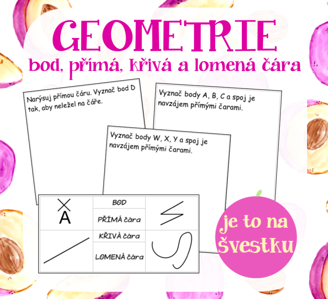 Geometrie - bod, přímá, křivá a lomená čára | Učitelnice