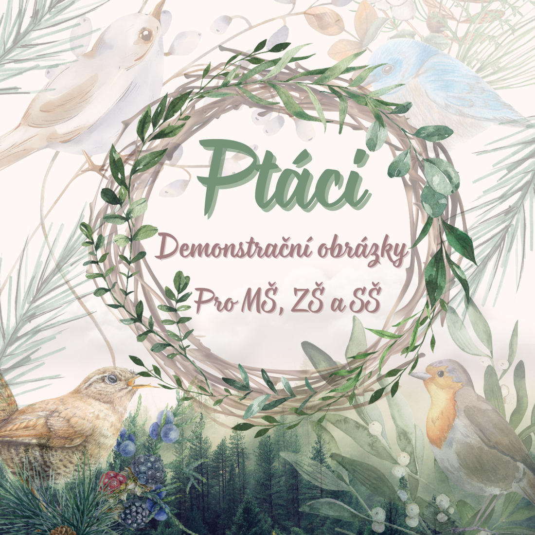Materiál - Ptáci