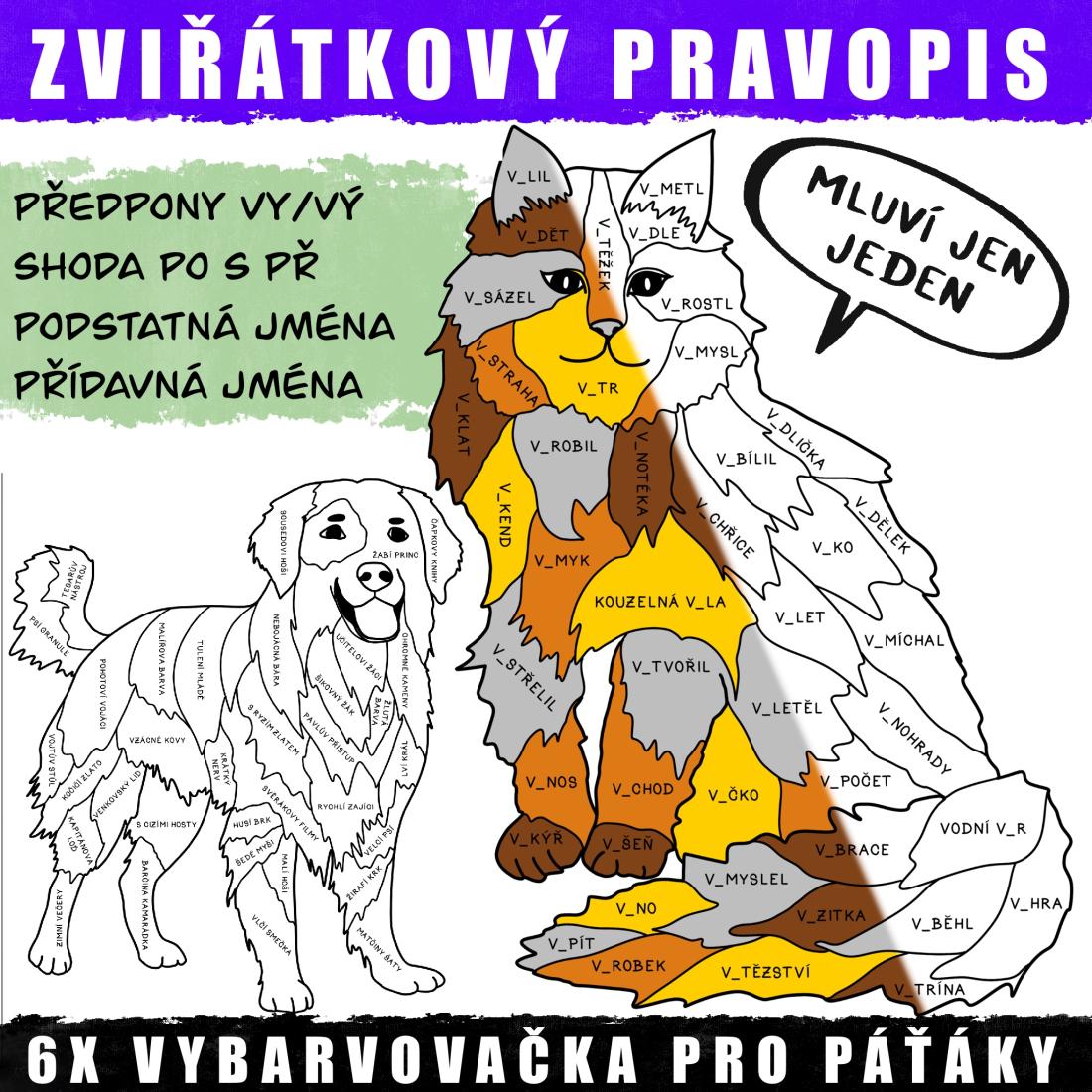 PRAVOPISNÉ VYBARVOVÁNÍ - podst. jm., příd. jm., slovesa, vyjm. slova ...