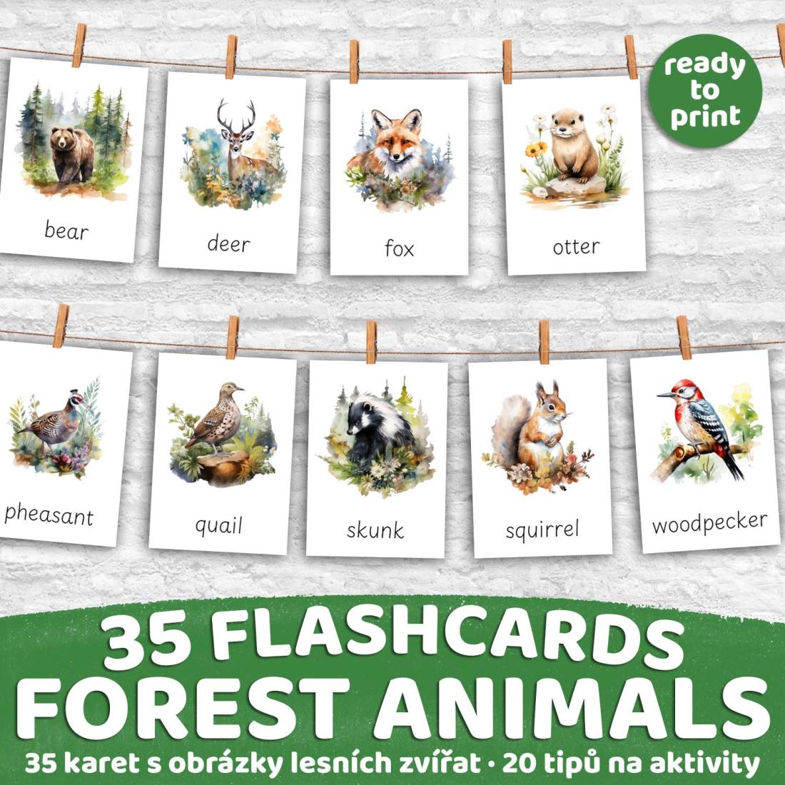 FLASHCARDS FOREST ANIMALS | Karty a 20 aktivit do výuky | Učitelnice