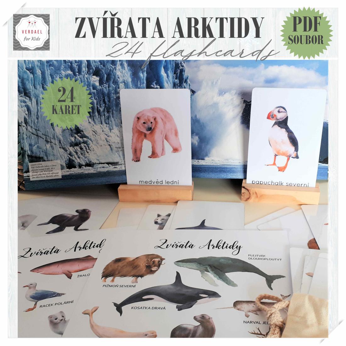 Materiál - ZVÍŘATA ARKTIDY