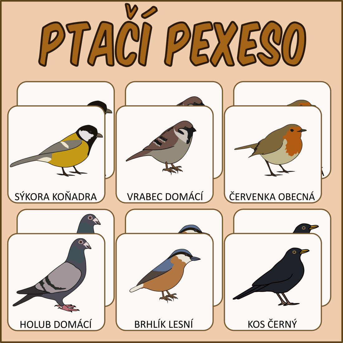 Pexeso - Ptáci | Učitelnice
