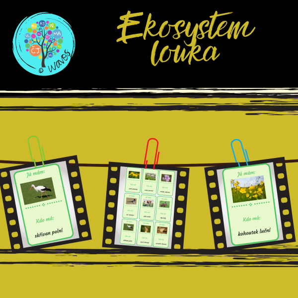 Materiál - Ekosystém potok a řeka
