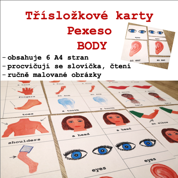 Materiál - Třísložkové karty/Pexeso - FOOD