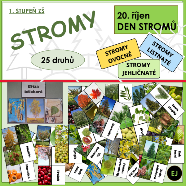 Stromy - listy a plody (demonstrační karty) | Učitelnice
