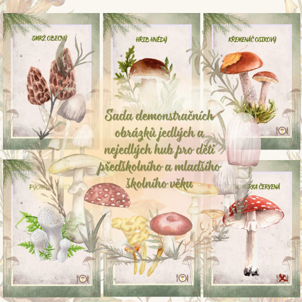 Pexeso houby | Učitelnice