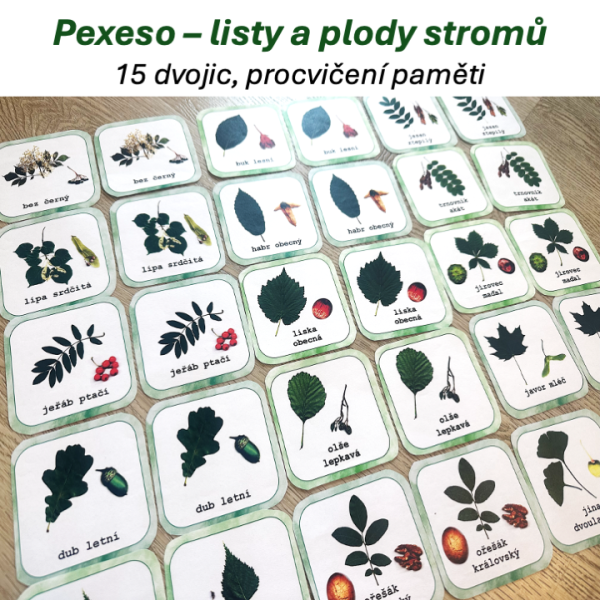 Stromy - Listy a plody | Učitelnice