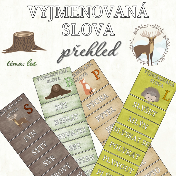 Materiál - Rychlovky - vyjmenovaná slova věty mix