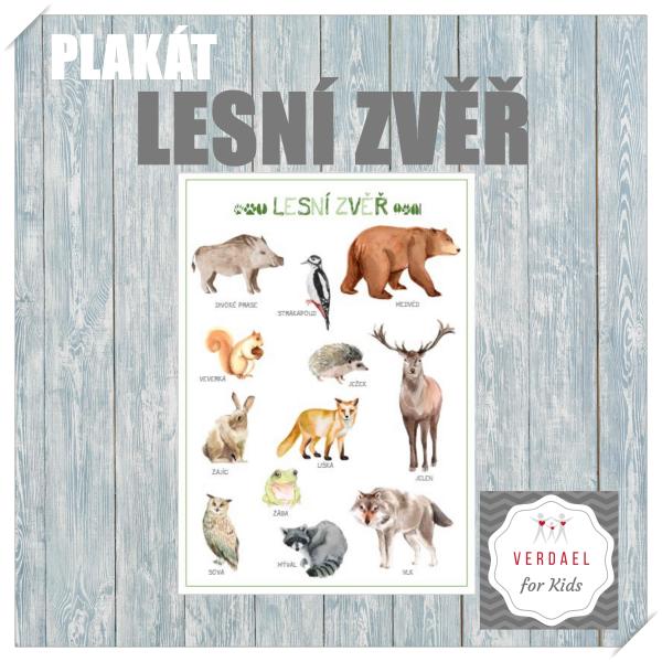 Materiál - Série plakátů jaro, léto, podzim, zima