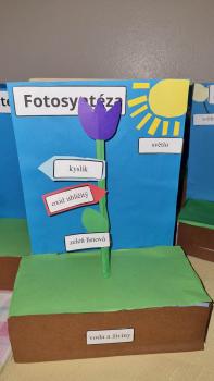 Znaky rostlin, fotosyntéza, dýchání rostlin | Učitelnice