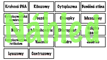 Eukaryotická a prokaryotická buňka | Učitelnice