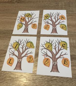 Abeceda - 4 tvary písma | Učitelnice