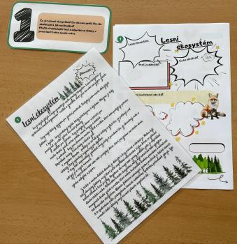 Lesní ekosystém - stanoviště | Učitelnice