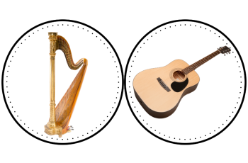 HUDEBNÍ NÁSTROJE STRUNNÉ | Učitelnice